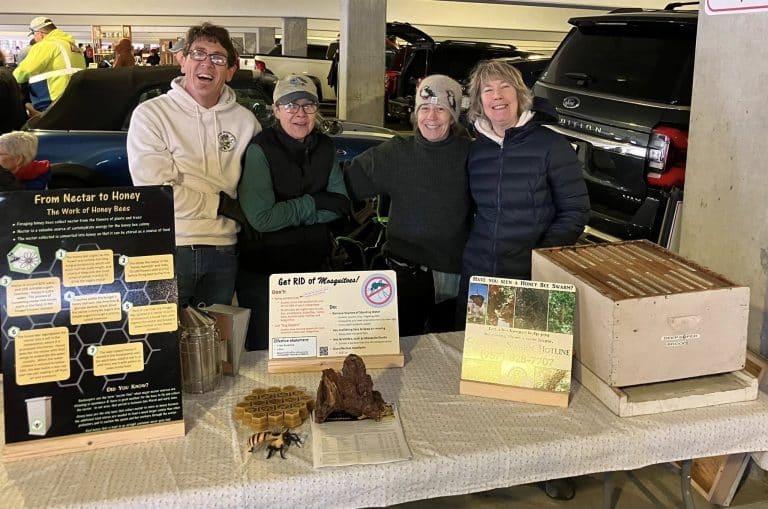 The Swarm Hotline: How local beekeepers are saving our pollinators ...